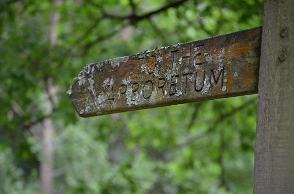 Stover Country Park - Woodland Trust