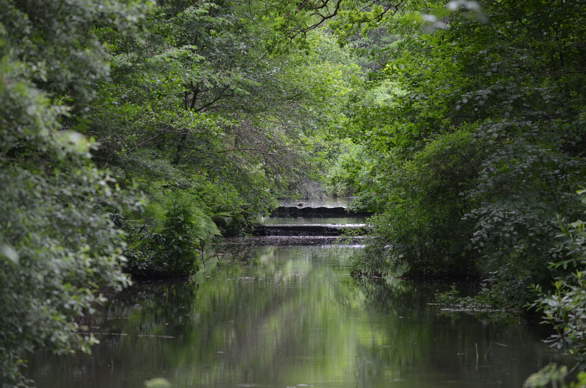 Stover Country Park - Woodland Trust