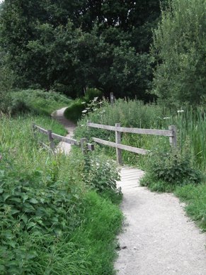 Ditchling Common Country Park - Woodland Trust