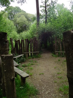 Ditchling Common Country Park - Woodland Trust