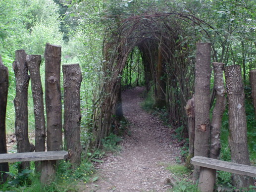 Ditchling Common Country Park - Woodland Trust