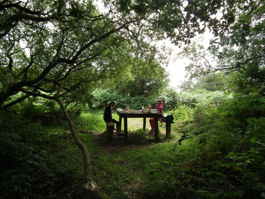 Ditchling Common Country Park - Woodland Trust