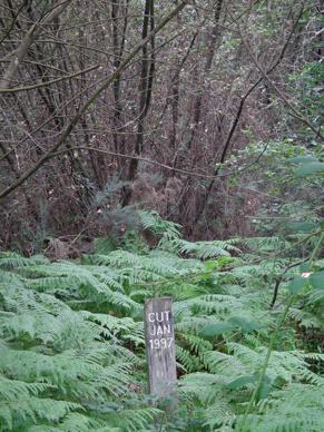 Ditchling Common Country Park - Woodland Trust