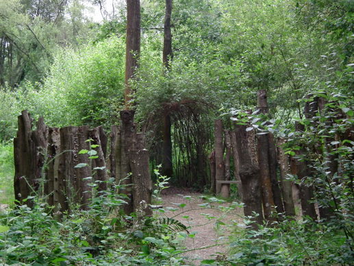 Ditchling Common Country Park - Woodland Trust
