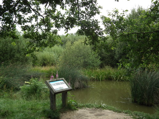 Ditchling Common Country Park - Woodland Trust