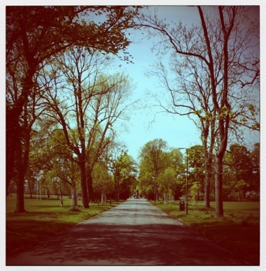 Inverleith Park - Woodland Trust
