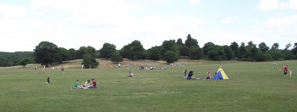 Weald Country Park - Woodland Trust