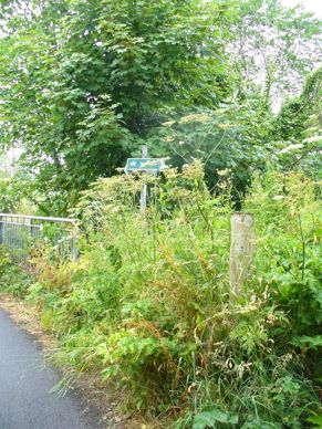 Polmont Woods - Woodland Trust