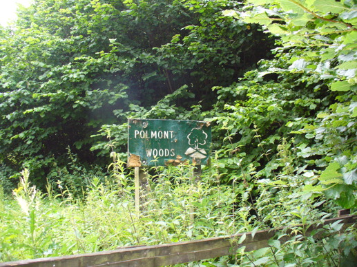 Polmont Woods - Woodland Trust