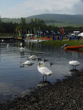 Lochore Meadows Country Park - Woodland Trust