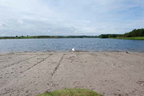 Lochore Meadows Country Park - Woodland Trust