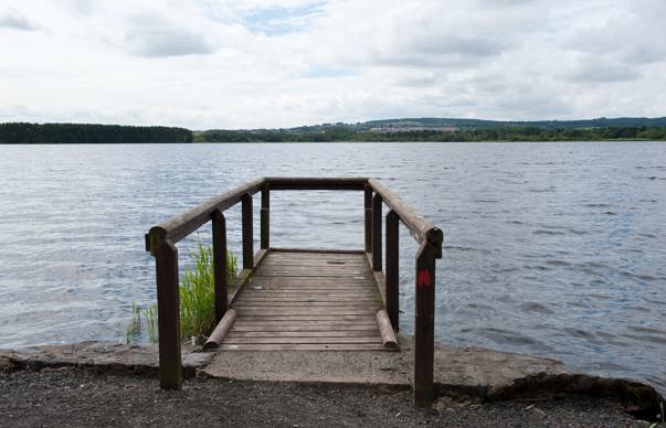 Lochore Meadows Country Park - Woodland Trust