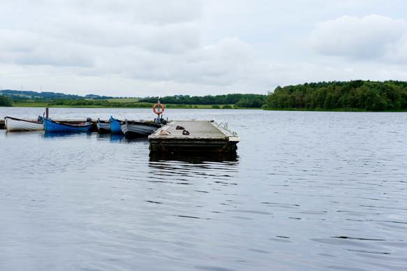 Lochore Meadows Country Park - Woodland Trust