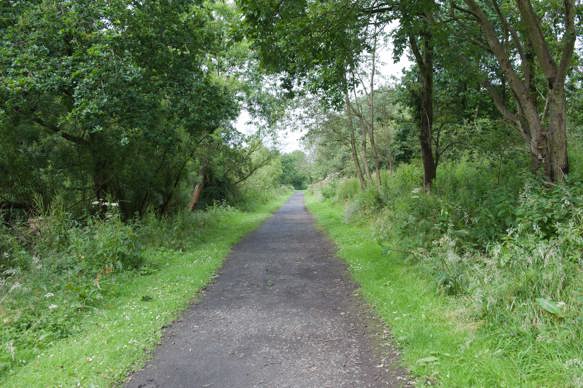 Lochore Meadows Country Park - Woodland Trust