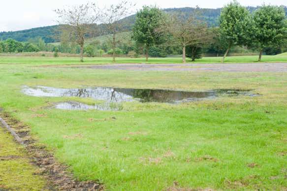Lochore Meadows Country Park - Woodland Trust