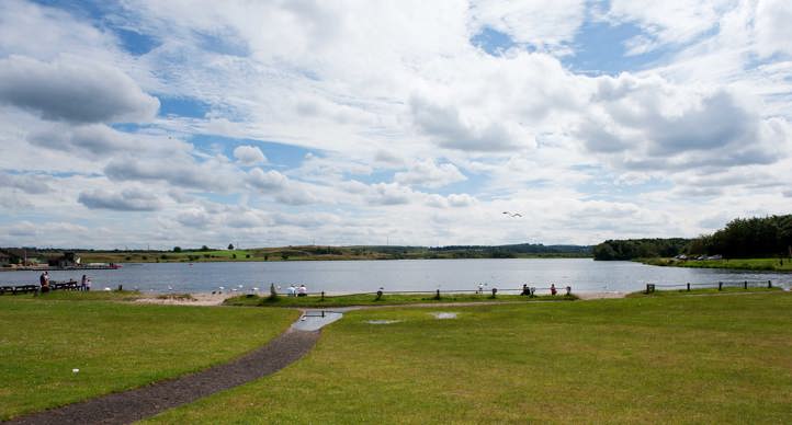 Lochore Meadows Country Park - Woodland Trust