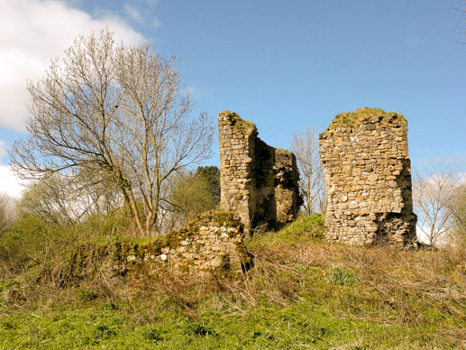Lochore Meadows Country Park - Woodland Trust