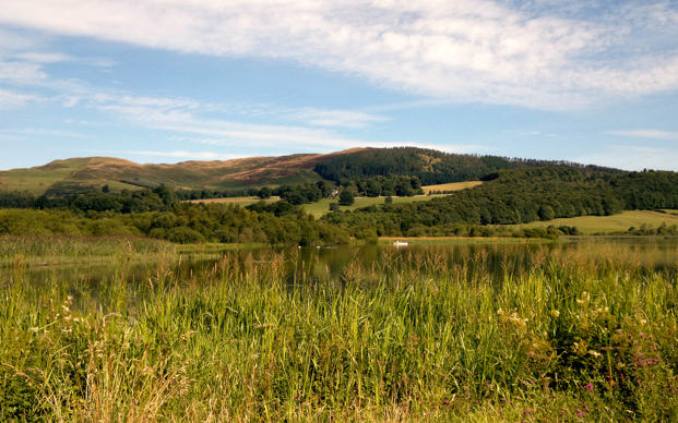 Lochore Meadows Country Park - Woodland Trust