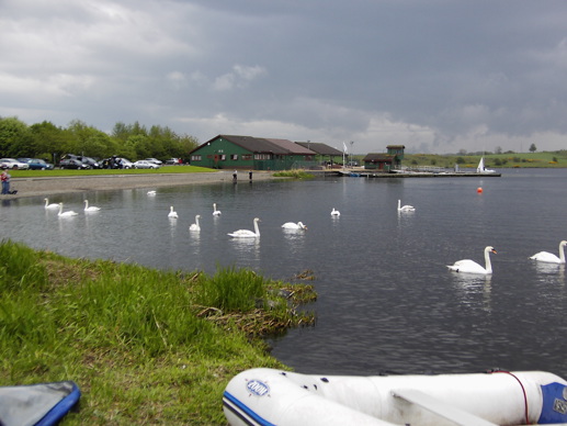 Lochore Meadows Country Park - Woodland Trust