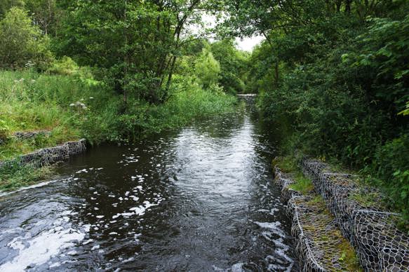 Lochore Meadows Country Park - Woodland Trust