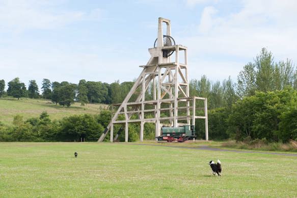 Lochore Meadows Country Park - Woodland Trust
