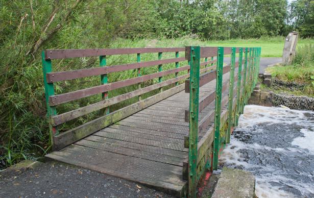 Lochore Meadows Country Park - Woodland Trust