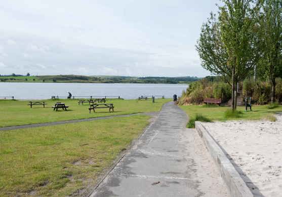 Lochore Meadows Country Park - Woodland Trust