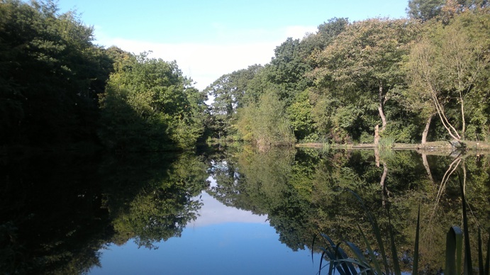 Wepre Park - Woodland Trust
