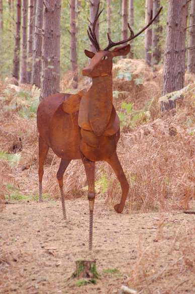 Broxbourne And Bencroft Wood - Woodland Trust