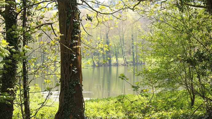 Lullingstone Country Park - Woodland Trust