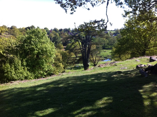 Bradgate Park - Woodland Trust