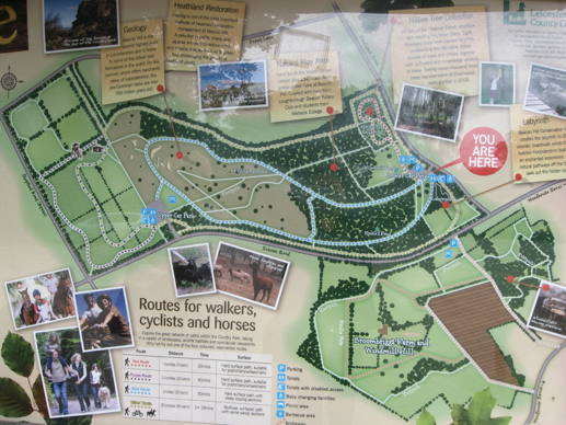 Beacon Hill Country Park - Woodland Trust