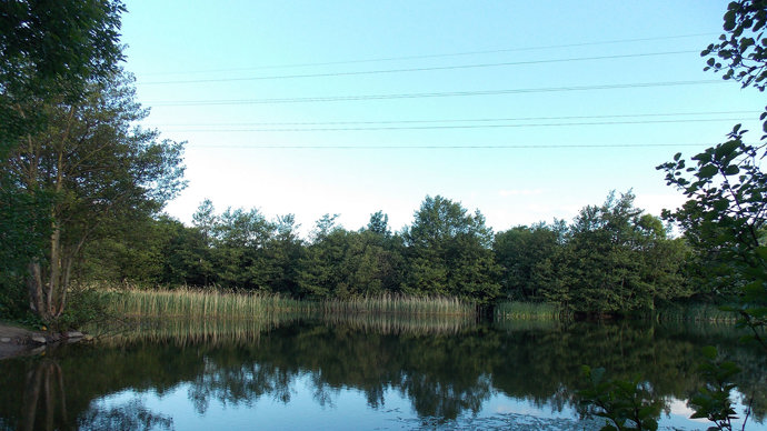 Straiton Pond - Woodland Trust