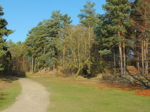 Irchester Country Park - Woodland Trust