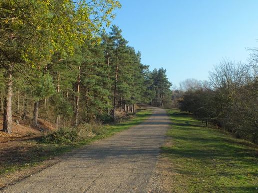 Irchester Country Park - Woodland Trust