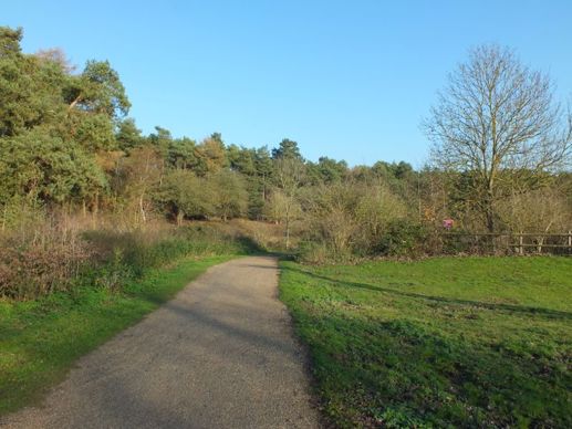 Irchester Country Park - Woodland Trust