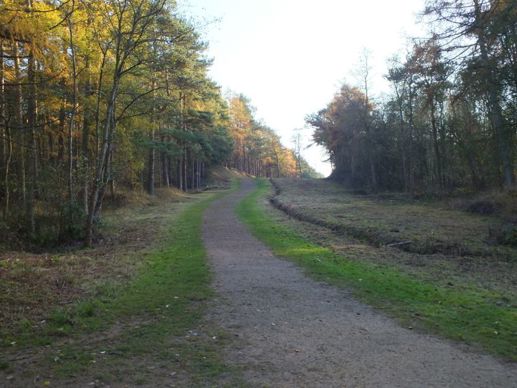 Irchester Country Park - Woodland Trust