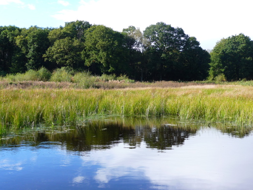 Brown Moss Countryside Heritage Site - Woodland Trust