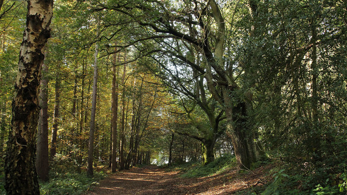 Kingsford Country Park - Woodland Trust