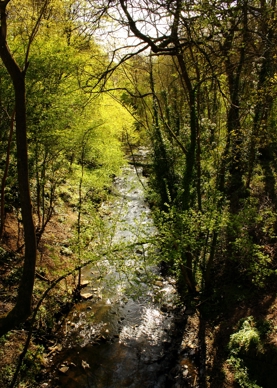 Willsbridge Valley - Woodland Trust