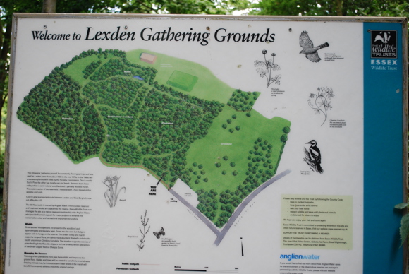 Lexden Gathering Grounds - Woodland Trust