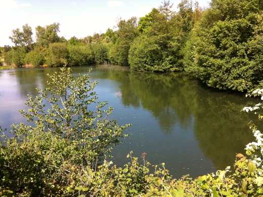Fingringhoe Wick - Woodland Trust