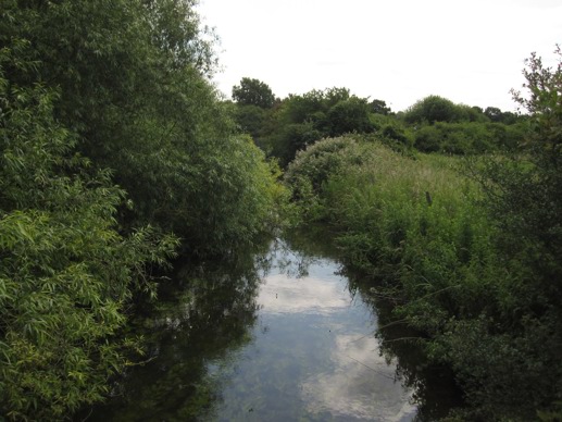 Denham Lock Wood SSSI - Woodland Trust
