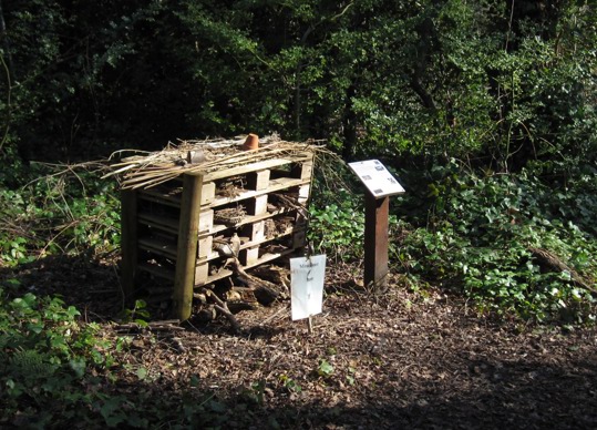 Gunnersbury Triangle - Woodland Trust