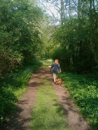 Dukes Wood - Woodland Trust