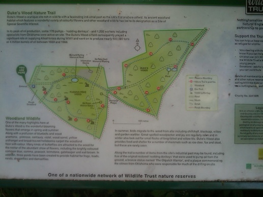 Dukes Wood - Woodland Trust