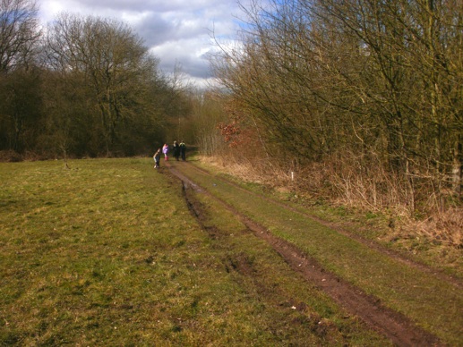Dukes Wood - Woodland Trust