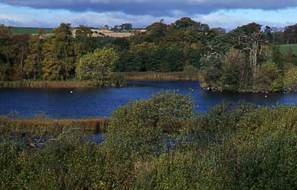Balgavies Loch - Woodland Trust