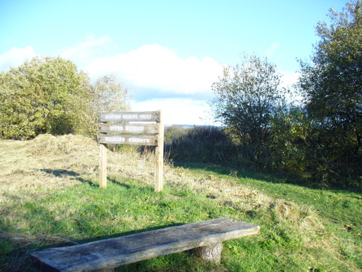 Upper Nethan Gorge - Woodland Trust