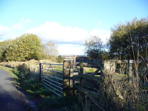 Upper Nethan Gorge - Woodland Trust